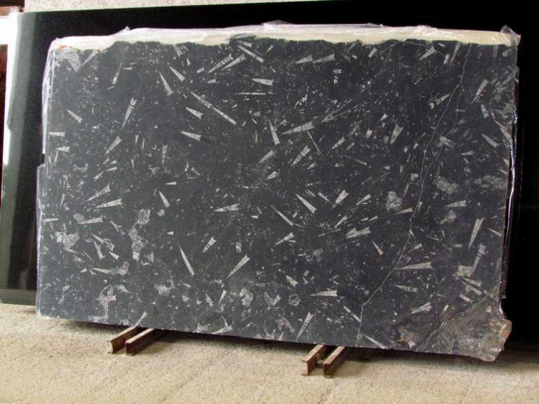 BLACK FOSSIL HONED 3cm 101×60″ – Absolute Kitchen & Granite