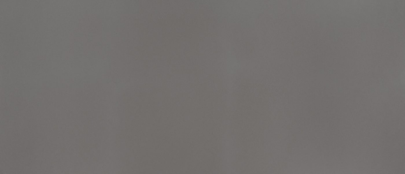 MYSTIC GRAY™ QUARTZ – Absolute Kitchen & Granite