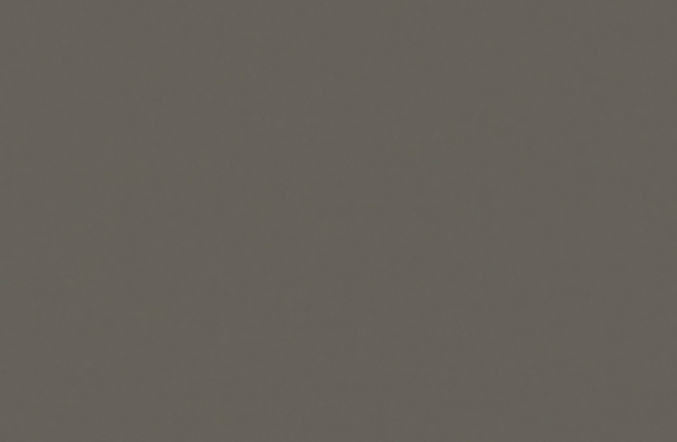 Graphite – Absolute Kitchen & Granite